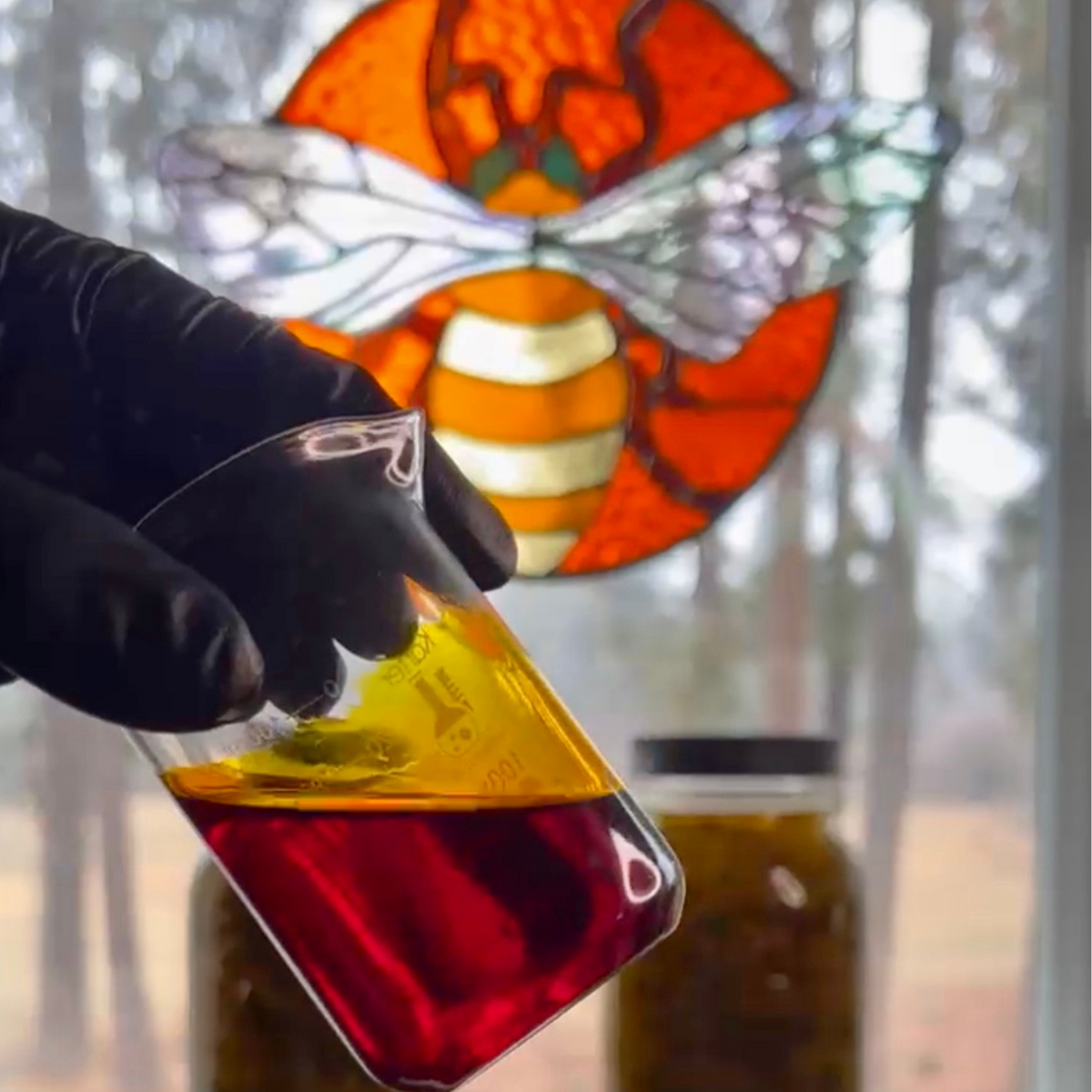 Mastering the Alchemy: Crafting The Perfect Cleansing Oil for Radiant ...